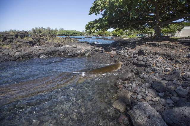 Council members question change orders - Hawaii Tribune-Herald